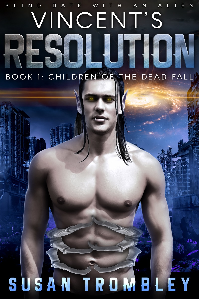 01_vincentsResolution – Resize – Susan Trombley SFR Author